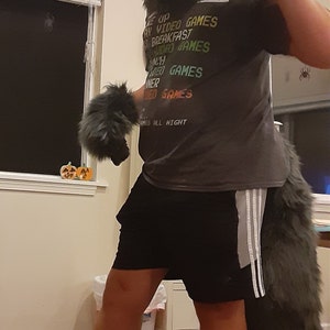 Protogen Furry Reference Sheet/template - Etsy