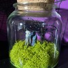 Miniature Ladybug Terrarium by Sbmathieu - Etsy