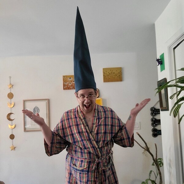 MERLIN WIZARD SORCERER Hat 28" to 30" Tall Blue Fleece and Assorted ...