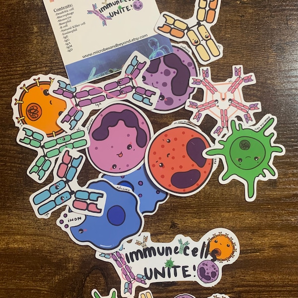 Cute Antibodies and Immune Cells Sticker Set - Etsy