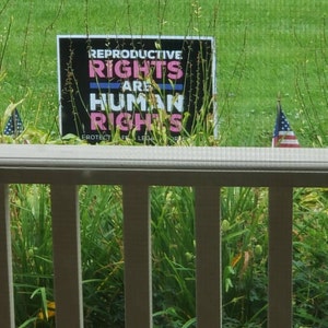 Princess Leia Resistance Yard Sign // 2-sided // Protest - Etsy