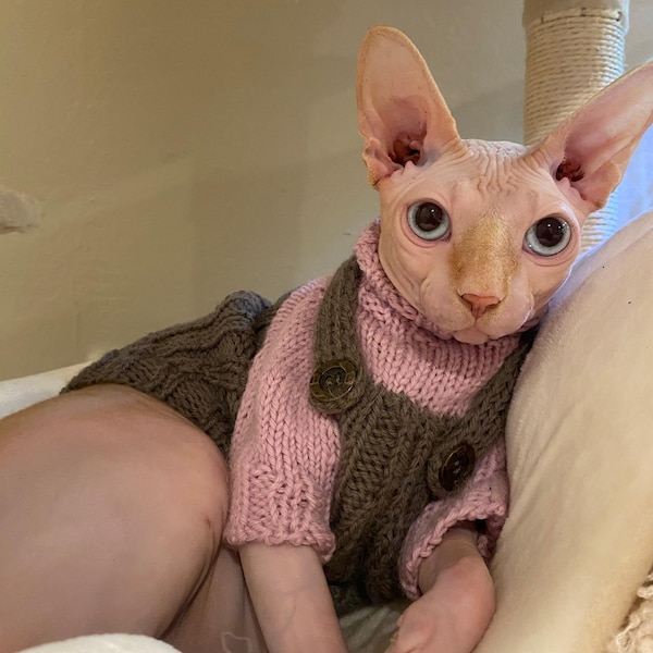 Sphynx Cat Sweater and Hat Set Hand Knit Cat Jumpsuit Hairless Cat Jumper and Beanie Set Cat ...