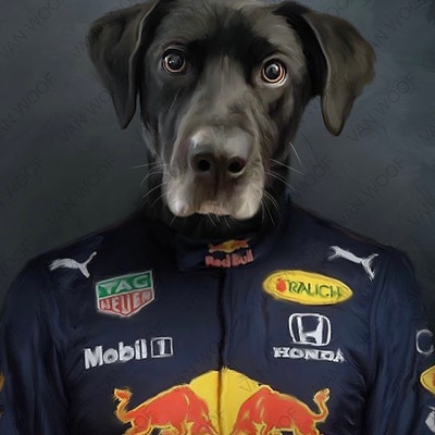 Red Ball, Formula Racing Car, F1 Driver Team Pet Portrait, Custom Dog ...