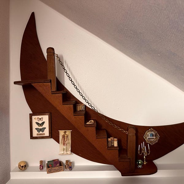 DIY Miniature Cabinet of Curiosities KIT Oddities Museum Collection ...