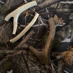 Elk Antler Base & Rope Dog Toy | Etsy