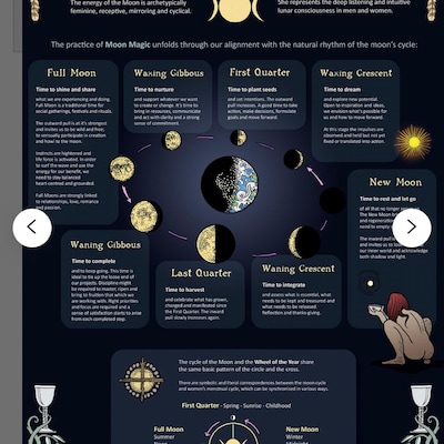 Foraging Calendar, Ecofriendly A3 Print, Wall Art Poster, Infographic ...