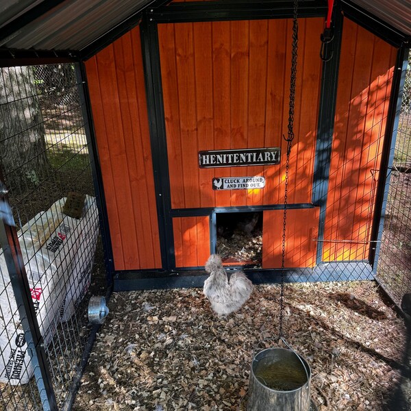 Henitentiary Funny Chicken Coop Sign - Backyard Chicken Gift - Cute ...