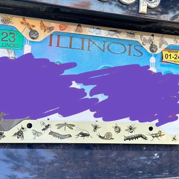 Insects License Plate Frame - Entomology Entomologist Car Truck Gift ...