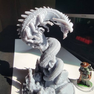 Lyra Potions Master Printed Obsession Puppet Show D&D - Etsy