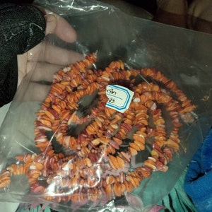 Natural Spiny Oyster Shell Wing Shape 25x52mm - Etsy