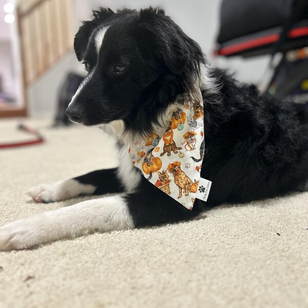 Custom Dog Bandana, Pink Ghost Design Personalized Text Puppy Pet ...