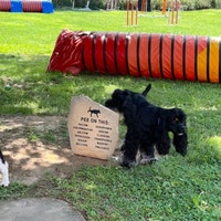 Monogram Last Name Rock Engraved Stone Personalized - Etsy Canada