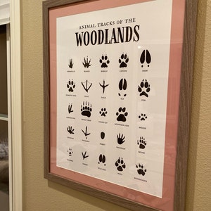 Animal Tracks Print, Woodland Nursery Decor, Printable Wall Art, Boys ...