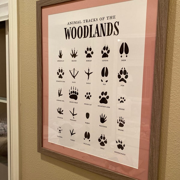 Animal Tracks Print, Woodland Nursery Decor, Printable Wall Art, Boys ...