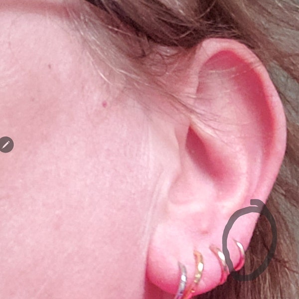 20G/18G/16G Titanium Hinge Hoop Hinged Segment Nose Ring Septum Clicker ...