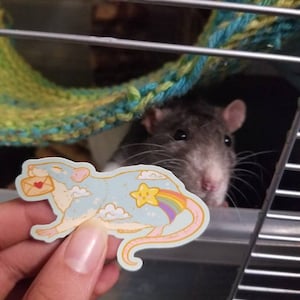 Gay Pride Rainbow Flag Hard Enamel Pin Rat and Moth Enamel Pin - Etsy