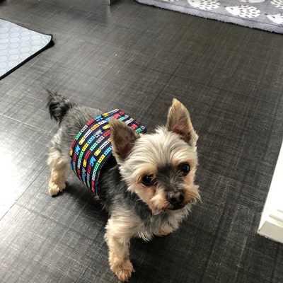 Dog Hygiene Knickers / Dog Season Pants Handmade by Me MADE TO ORDER by ...