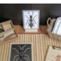 Loose Parts Insect/bug Exploration, Build a Bug, Fine Motor Skills ...