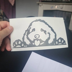 WHEELCHAIR ACCESS REQUIRED Car Sticker Decal Window Door - Etsy