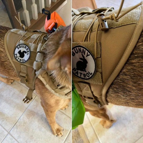Squirrel Patrol Embroidered Patch With Hook and Loop Fastener Available ...
