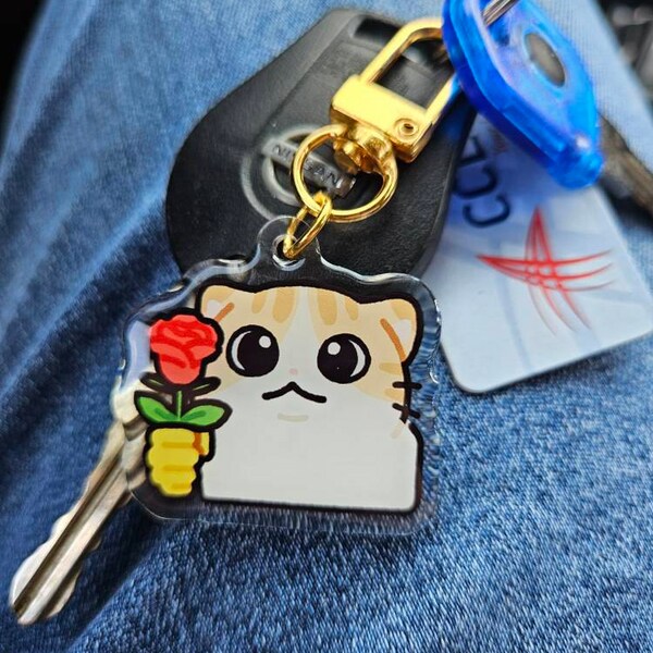 Cat Meme Keychain Double-sided Acrylic Charm - Etsy