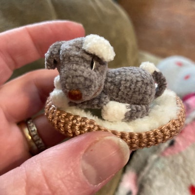 Miniature Emotional Support Shrimp. Cute Mini Gift Prawn. Cheer Up, No ...