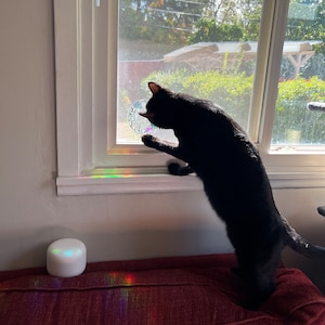 Cat Rainbow Window Sticker, Holographic Moon Suncatcher Decal, Rainbow ...