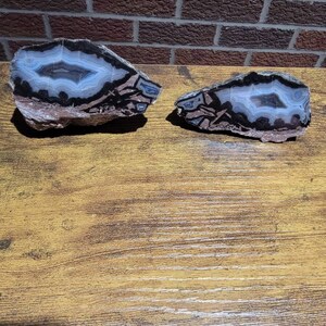 Orange Moss Agate Slabs, Agate Slabs for Lapidary, Metaphysical ...