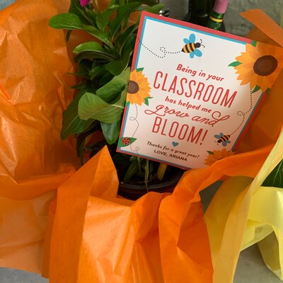 Bloom in Your Classroom Teacher Gift Tag Printable, Teacher ...