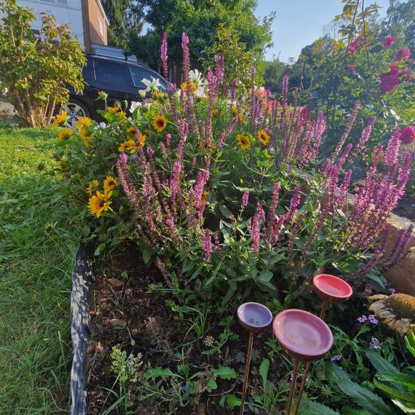 Large Metal Poppy Seed Heads. Rusted Sculptures for the Garden. Garden ...