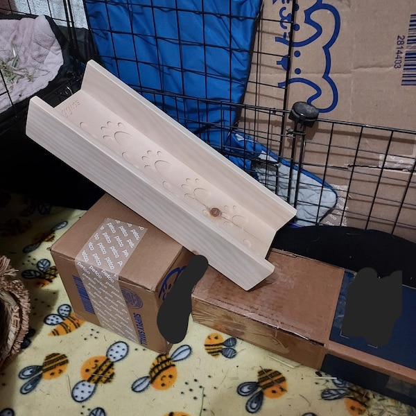 Guinea Pig Name Tag, Guinea Pig Accessories, Guinea Pig Cage ...