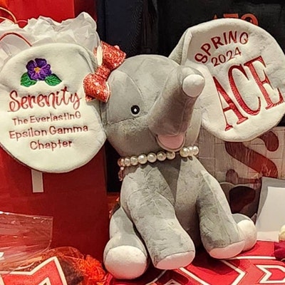 Personalized Delta Sigma Theta Name Badge With Magnetic Backing. Need ...