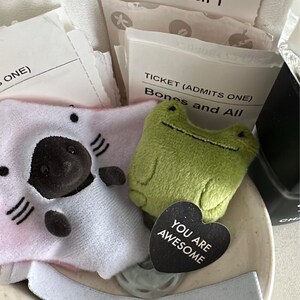 Choice of One Mini Squishy Frog Mochi Minky Nugget Plush - Etsy