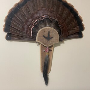 Classic Turkey Fan Mount - Etsy