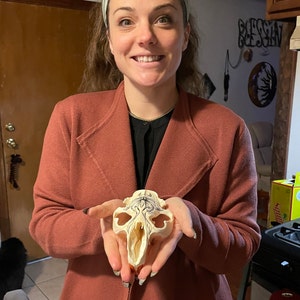 Hand Painted Red Fox Jaw - Etsy