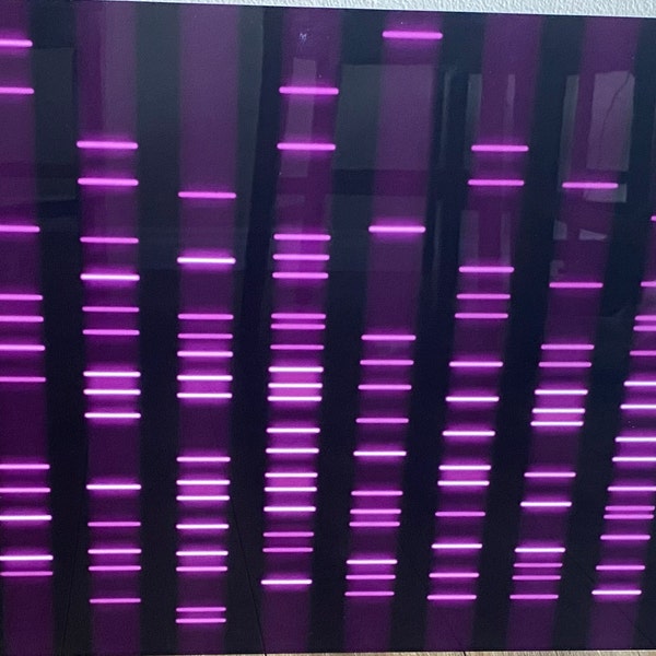 Artistry Meets Genetics: Custom DNA Art for Your Home Decor ...