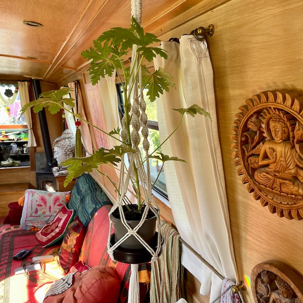 Macrame Ceiling Plant Hanger Indoor, Hanging Wall Planter, Macrame Wall ...