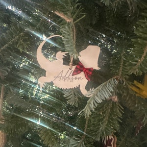 Centipede Scolopendra Centipedes Invertebrates Arthropod Chilopoda Drop ...