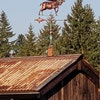 X-LARGE Handcrafted 3 Dimensional MOOSE Weathervane Copper Patina ...