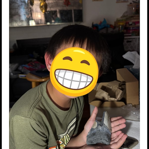 Megalodon Tooth - 4.17 Inches. Real Fossil Megalodon Shark Tooth ...