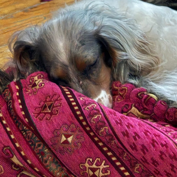 PRE-ORDER Teddy FLOOF for People | Escape Den | Cuddle Cave | Dog Bed ...