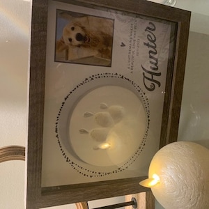 Dog Collar Holder Frame Pet Memorial, Cat Collar Memorial Holder, Pet ...