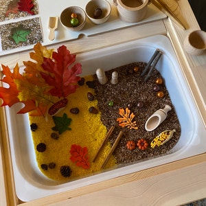 Fall Themed Sensory Bin - Etsy