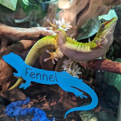 Customizable Name Green Tree Python Emerald Tree Boa Snake Vinyl Decal ...