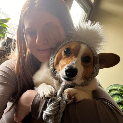 Corgi Beanie Dog Beanie Corgi Hats Dog Hat Dog Beanie - Etsy