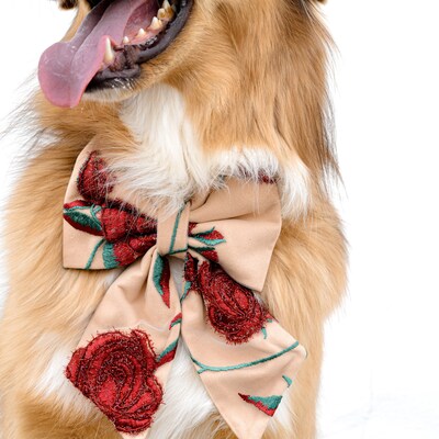 Toads and Mushrooms, toadally Fungi Cream Velvet, Forest, Reversible ...