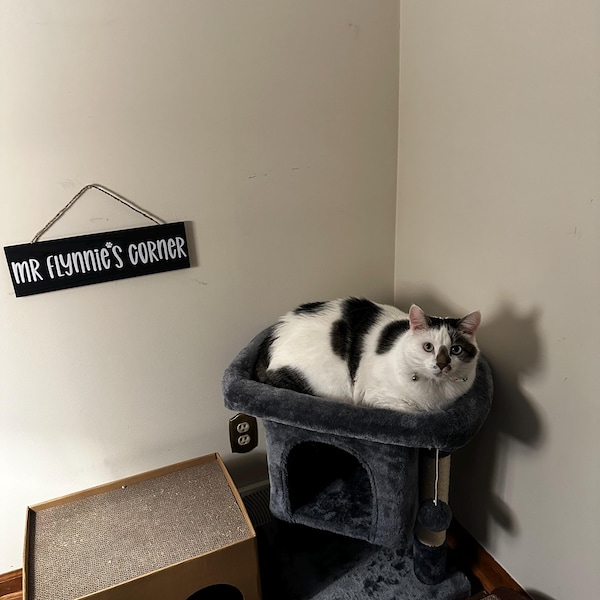 Cat Zone Sign - Pet Sign - Cat Lover Sign - Pet Decor - Cat Lover - Pet ...