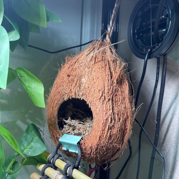 Coconut Hide -comes in 2 Sizes (great for Crested Geckos, Leopard ...