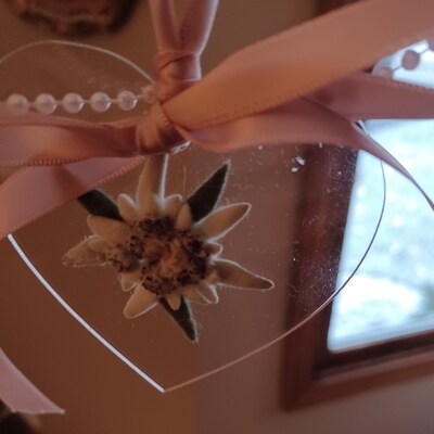 REAL Dried Flower Edelweiss Blossom Gift Ornament 3heart Shaped ...