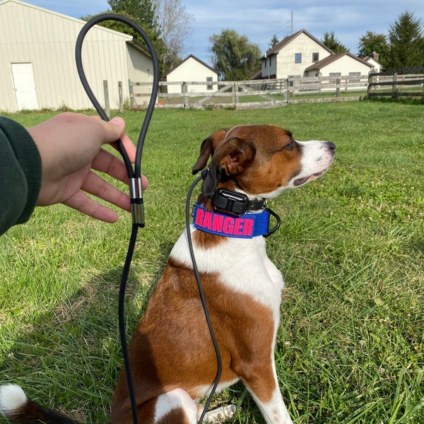Pink Slip Leash With Stopper, Round Biothane Slip Lead, Quick Lead, - Etsy